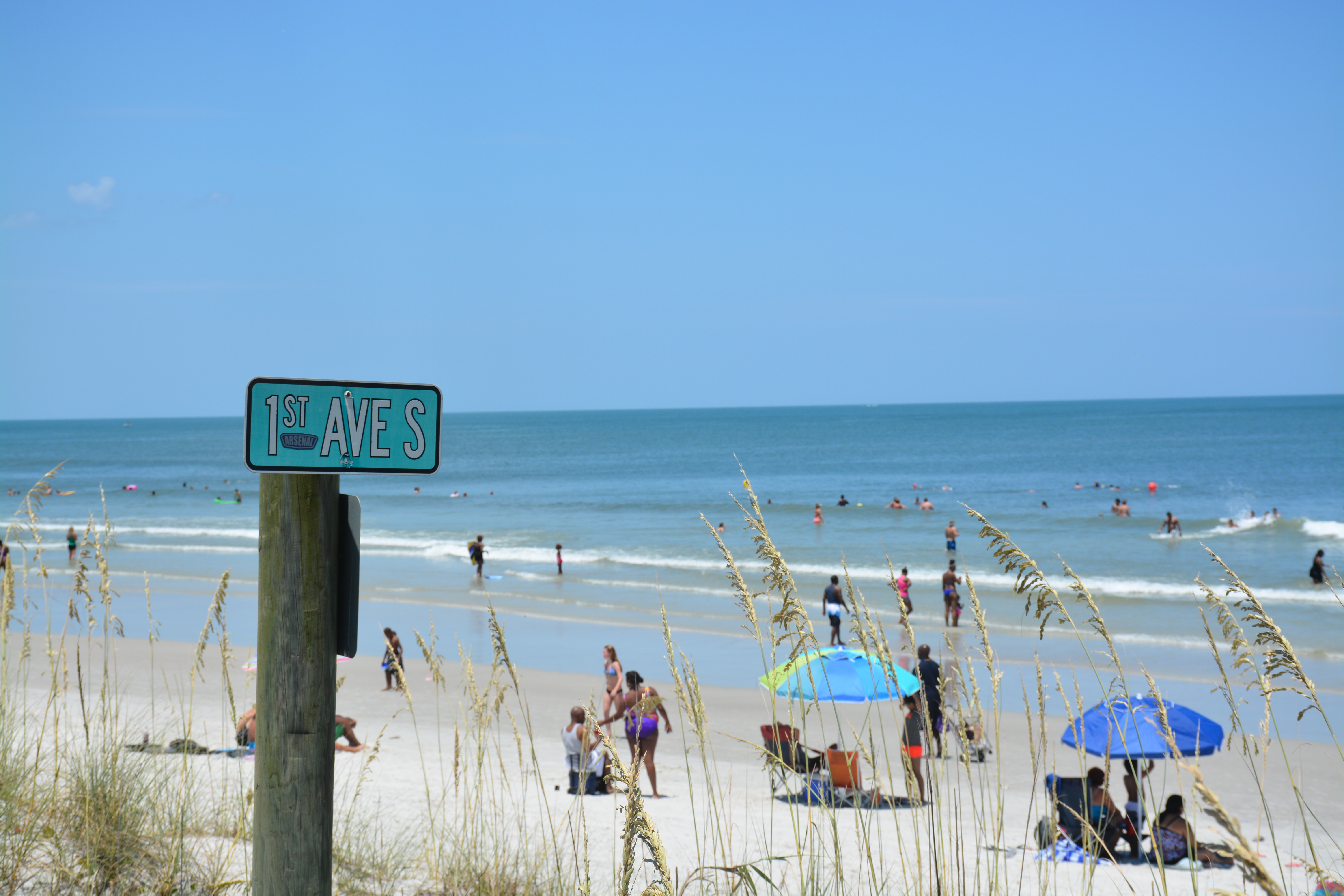 Butler to A1A: A Bumpy Ride to the Beach – The Coastal