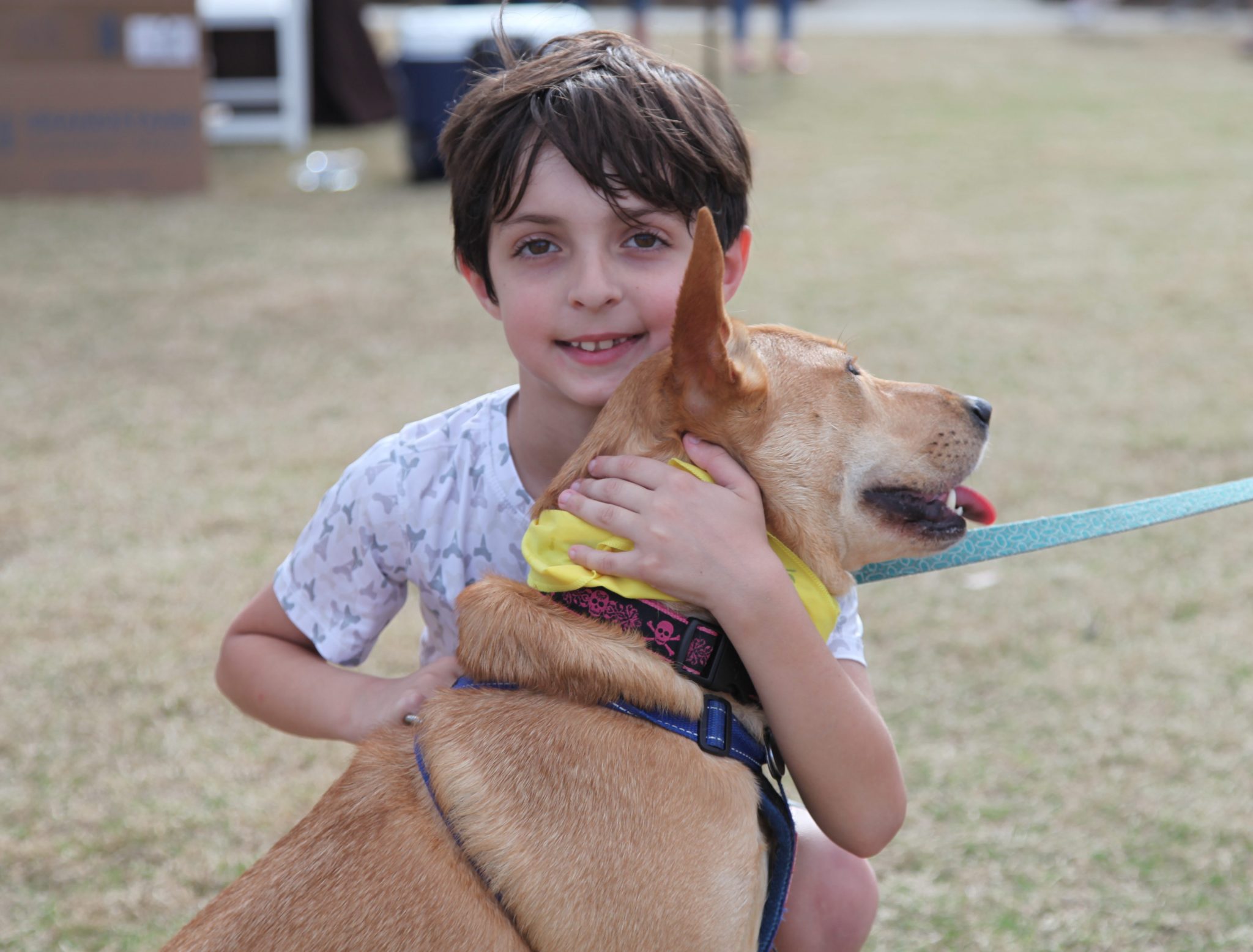 Shearwater's “Pups and Pints” Event Leads to Seven Pet Adoptions – The ...